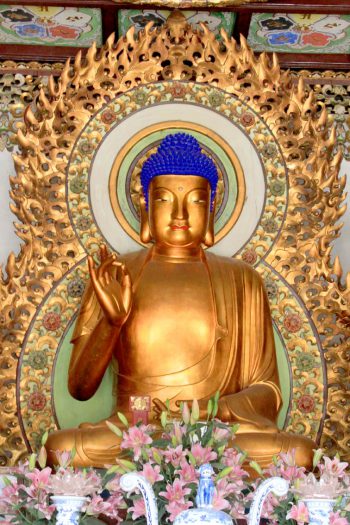 La Vida De Buda