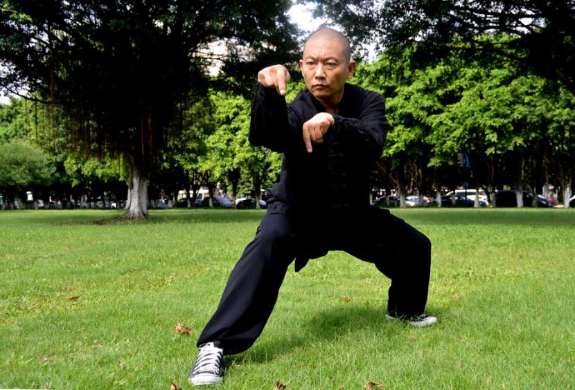 Tang Lang Quan, El Estilo De La Mantis Del Norte