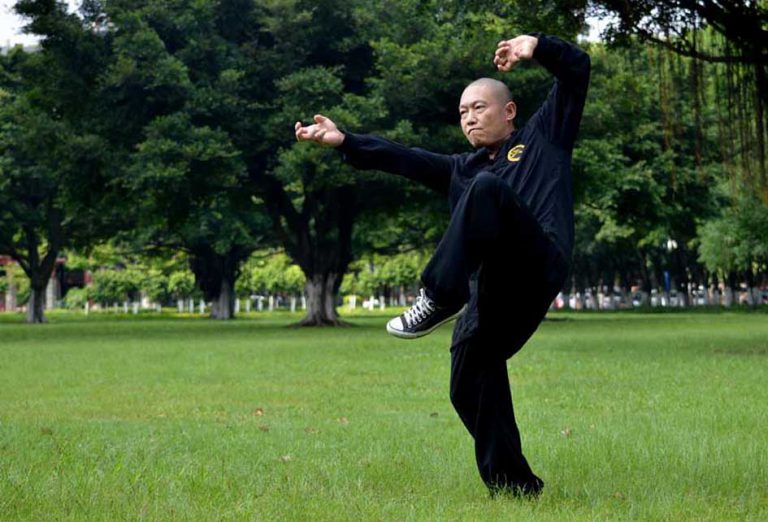 Tang Lang Quan, Northern Praying Mantis